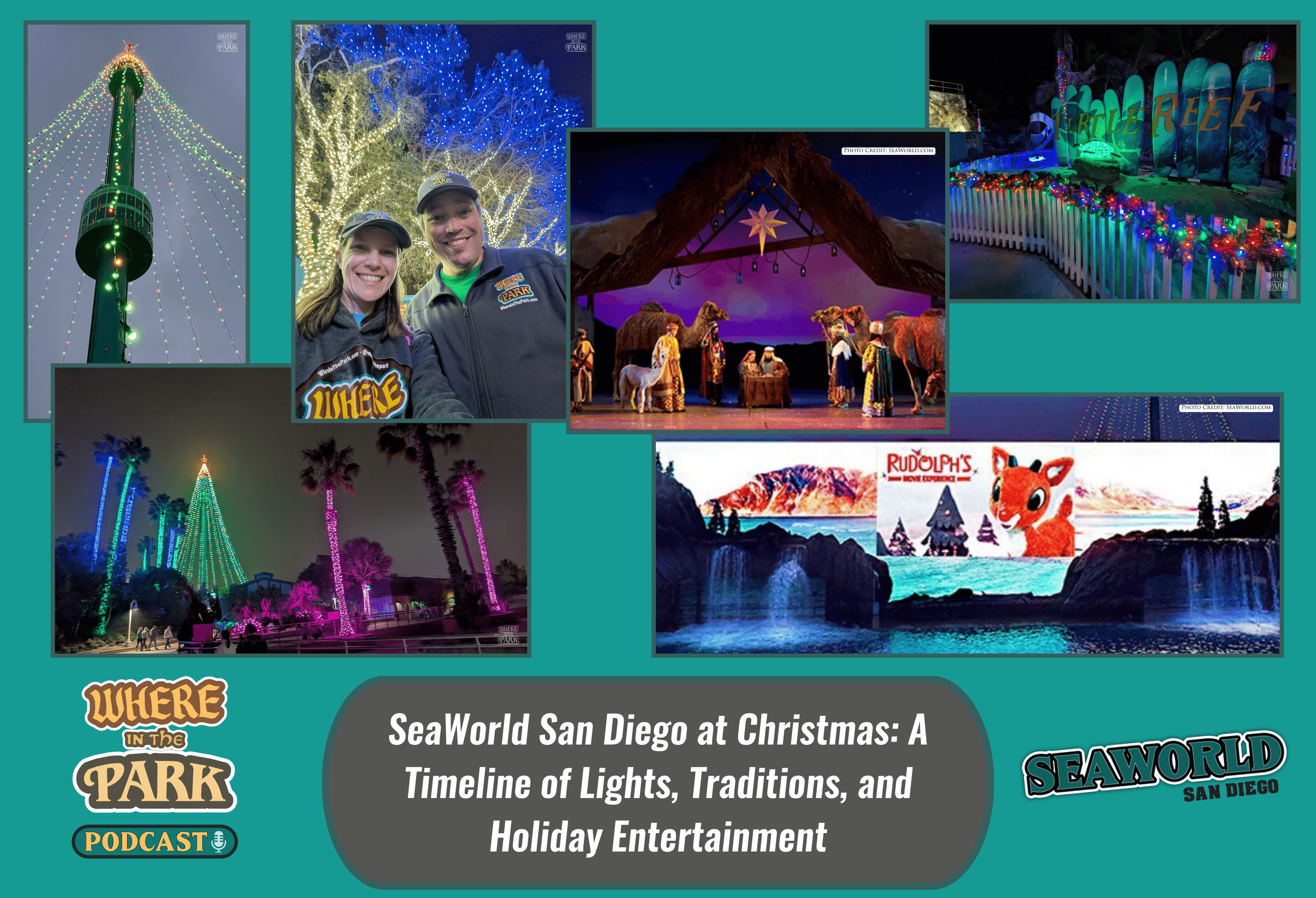 SeaWorld San Diego at Christmas: A Timeline of Lights, Traditions, and ...